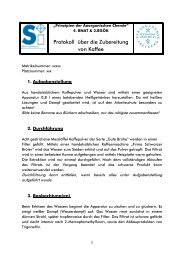 Beispiel fÃ¼r einen Eintrag im Laborjournal (pdf)