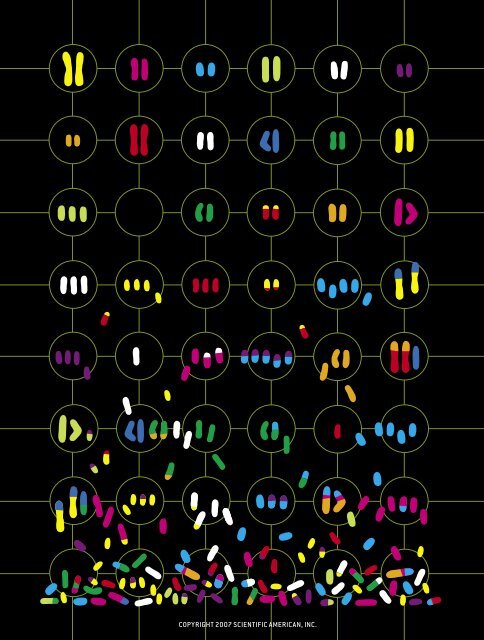 Chromosomal Chaos and Cancer - Scientific American Digital