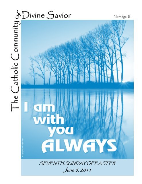 The Catholic Community Divine Savior of - Divine Savior Church