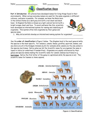 18 Using and Constructing a Classification Key, ATE