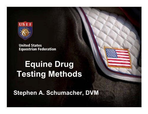 Equine Drug Equine Drug Testing Methods - Sound Horse Conference