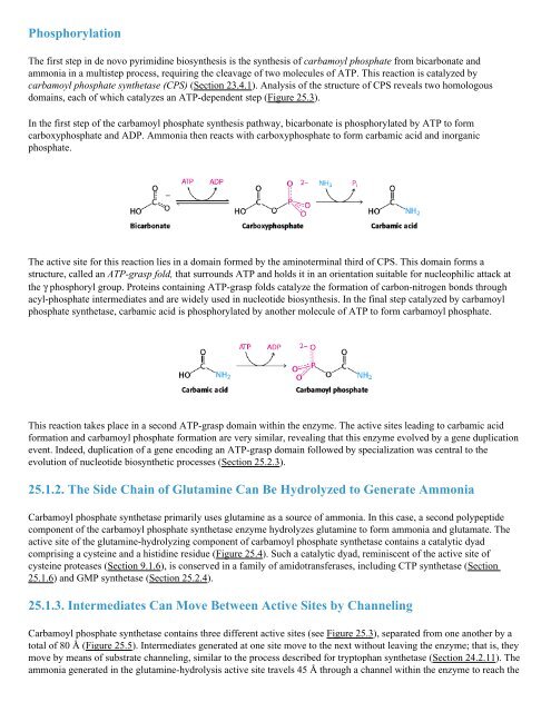 Phosphorylation The first