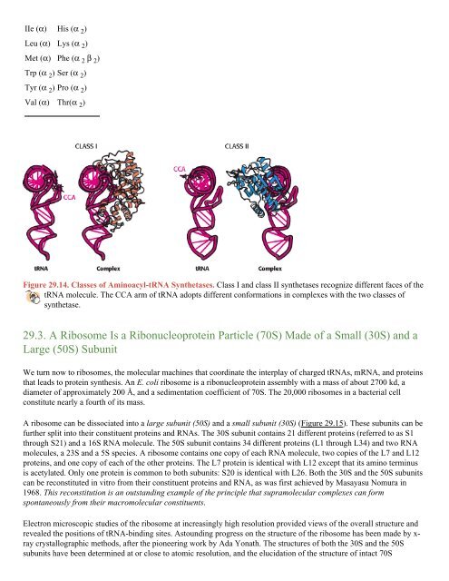 III. Synthesizing the Mol