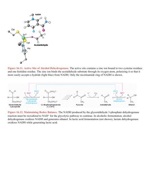 II. Transducing and Stori