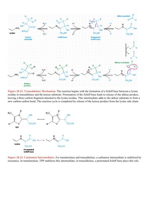II. Transducing and Stori