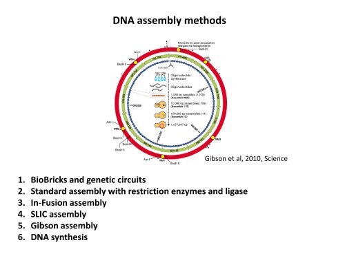 DNA assembly methods