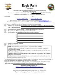 eagle project proposal ~ a help sheet for scouts - Mt. Baker Council