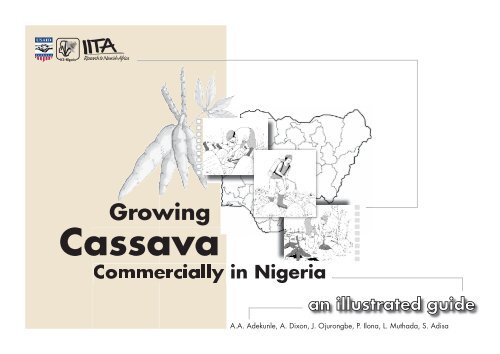 illustrated guide to growing Cassava. - Cassavabiz.org