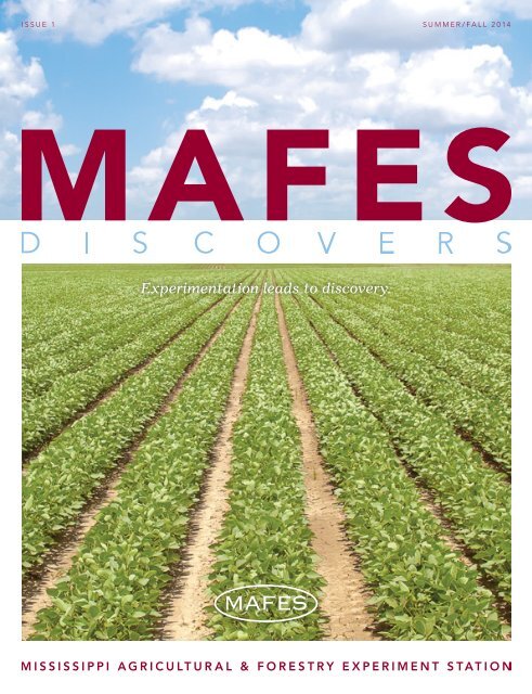 MAFES Discovers