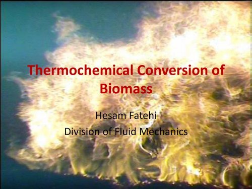 Thermochemical Conversion of Biomass