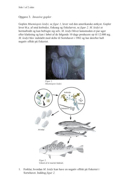 Opgave 3. Invasive gopler