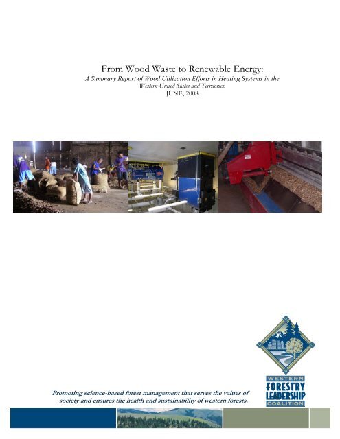 From Wood Waste to Renewable Energy: - Western Forestry ...