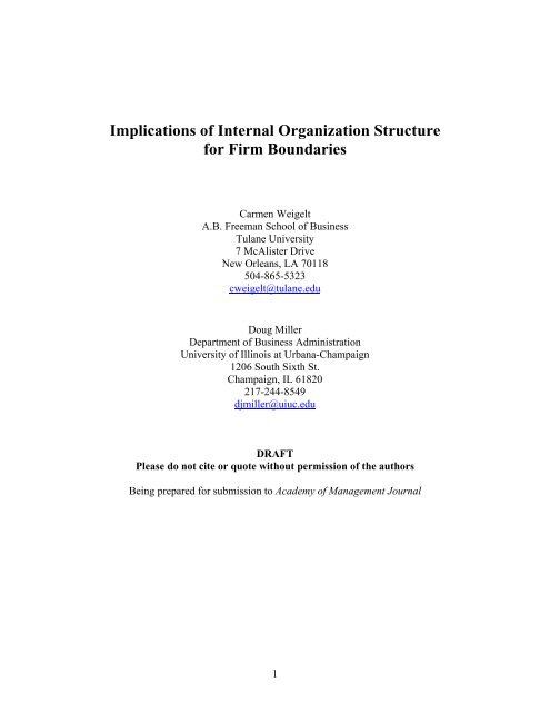 Implications of Internal Organization Structure for Firm ... - MTEI