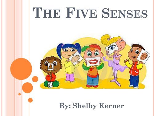 The Five Senses