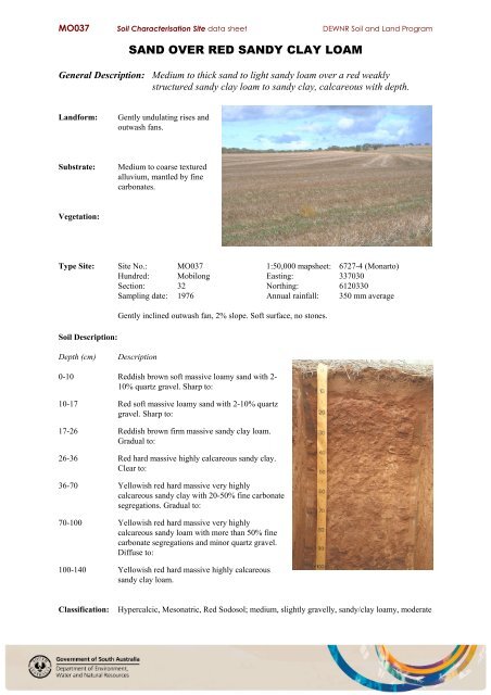 SAND OVER RED SANDY CLAY LOAM - asris