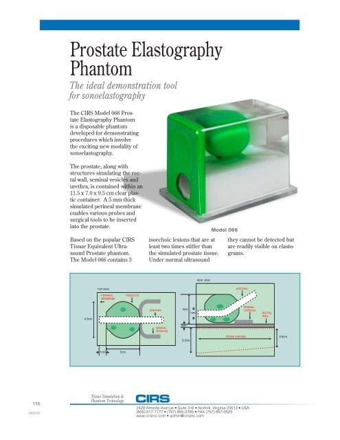 Prostate Elastography Phantom 066 - CIRS