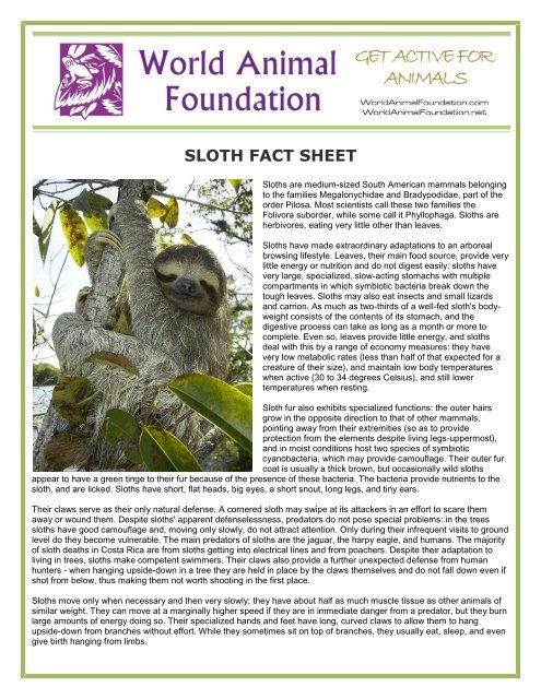 SLOTH FACT SHEET - World Animal Foundation