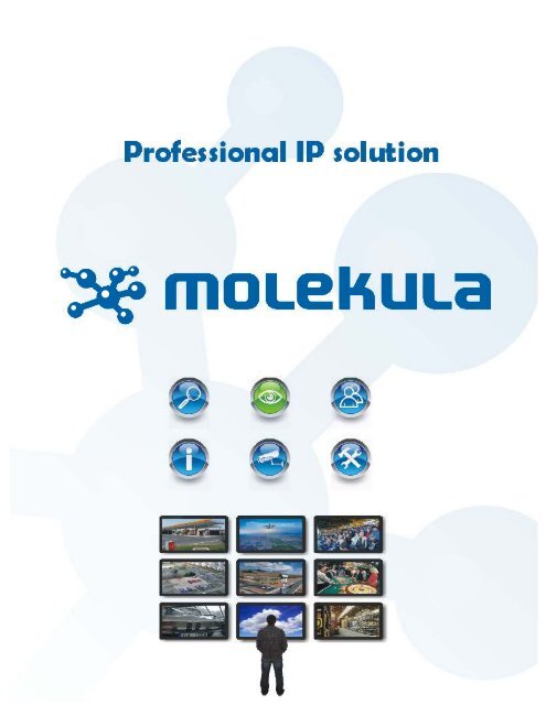 Professional IP solution