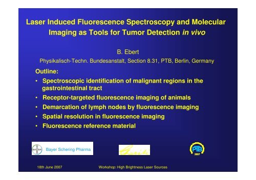 Laser Induced Fluorescence Spectroscopy and ... - brighter.eu