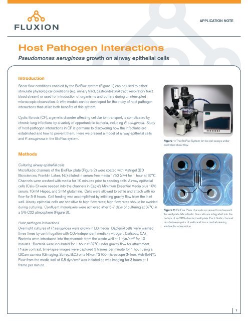 Host Pathogen Interactions