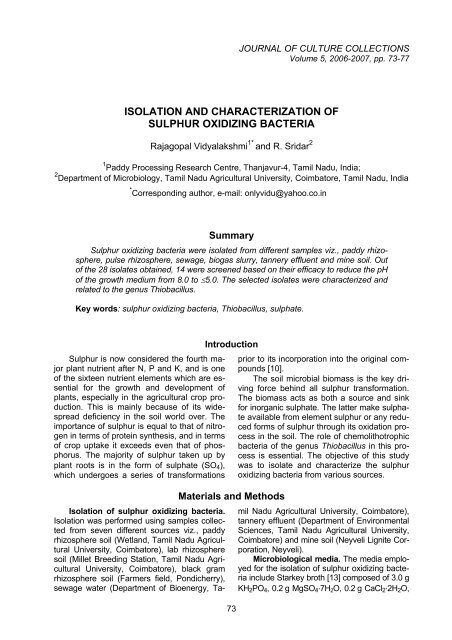 isolation and characterization of sulphur oxidizing bacteria