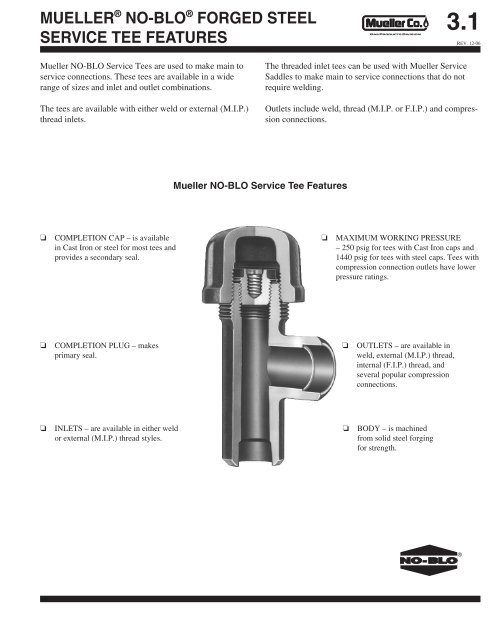 250 PSIG - Mueller Co.
