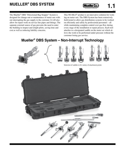 MUELLERÂ® DBS SYSTEM - Mueller Gas Products Division