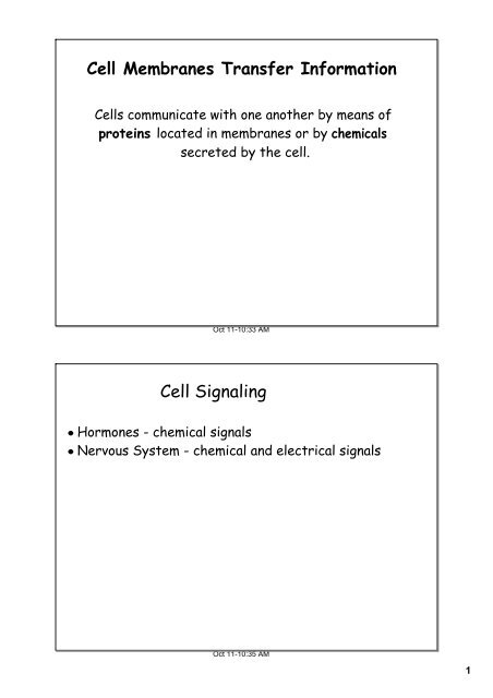 Cell Membranes Transfer Information Cell Signaling