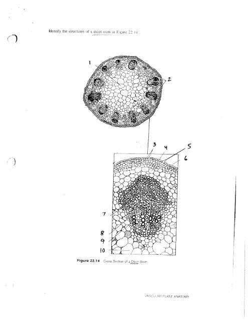 [dcnt;f,v the stTt: iur-,