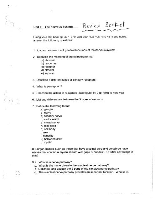 Nervous System Review.pdf - Mrs Stovel