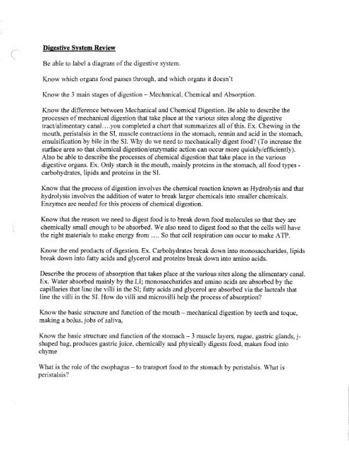 how long does it take to digest food