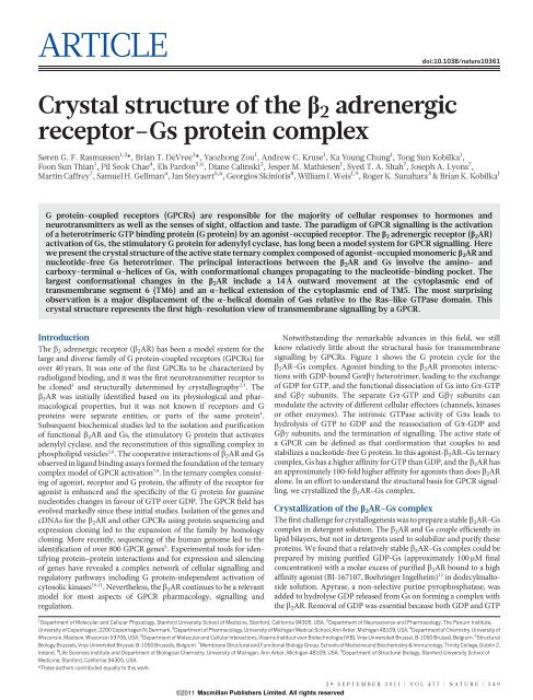 Crystal structure of the Î²2 adrenergic receptor-Gs protein ... - MPEC