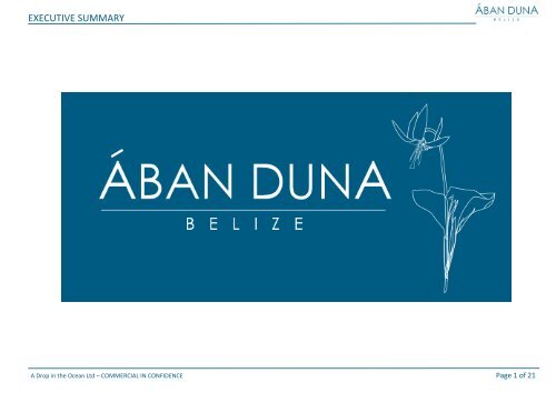ABAN DUNA EXECUTIVE SUMMARY