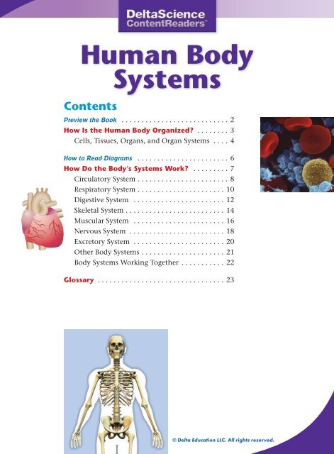 Human Body Systems - Delta Education