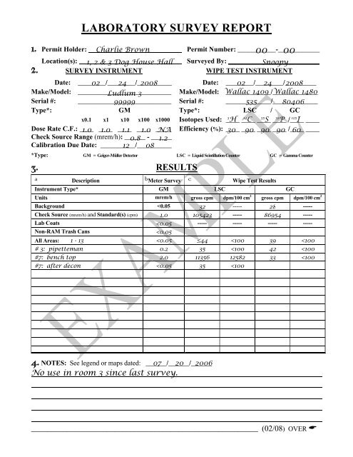 Survey Report Example
