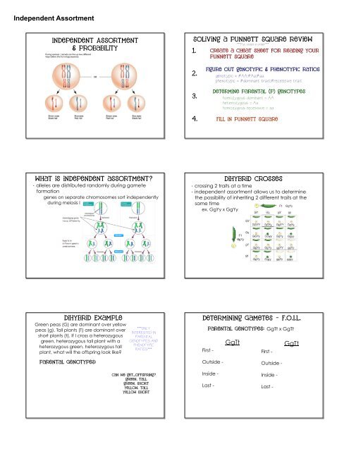 Independent Assortment And Crossing Over