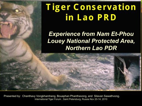 Tiger Conservation in Lao PRD - Global Tiger Initiative
