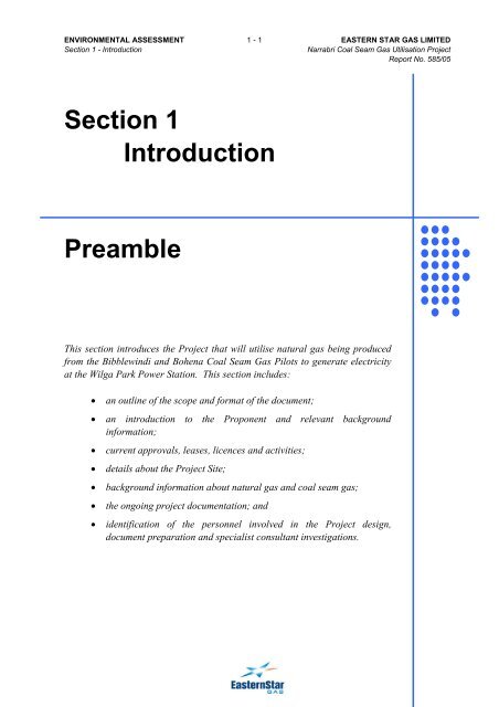 Section 1 Introduction Preamble - Santos