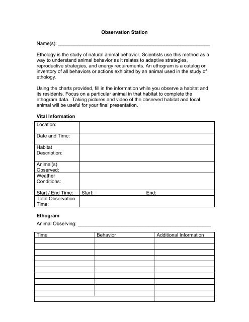 Science Minutes Activity 1 2 9 Ethogram Worksheet 47K PDF 