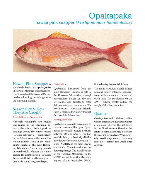 Opakapaka - Hawaii Seafood