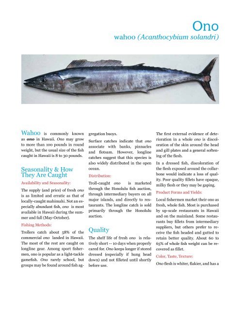 Ono Fish Hawaii Ono Fish, Ono Seafood, Buy Wahoo Steak Online