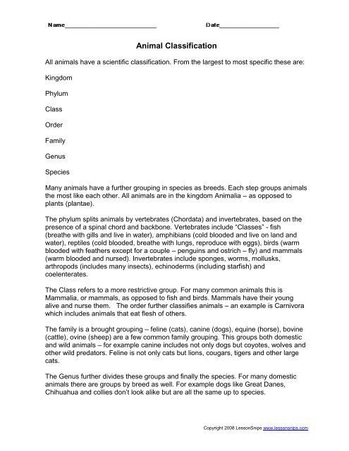 Animal classification