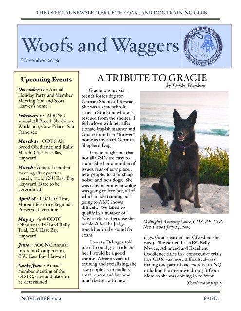 What Is A Cdx Obedience Dog