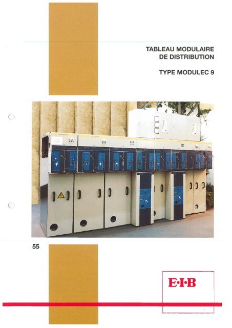 tableau modulaire de distribution type modulec 9 - Schneider