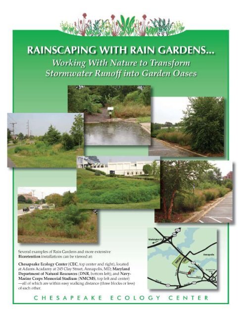 RainScaping with Rain Gardens - RainScaping.org