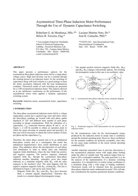 Asymmetrical Three Phase Induction Motor Performance Through