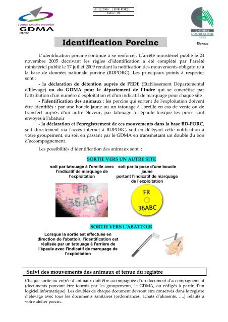 Identification des porcs.pdf - GDMA 36