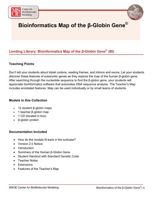 Bioinformatics Map of the Î²-Globin Gene - Center for BioMolecular ...