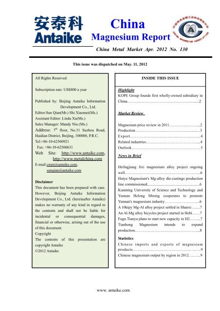 Magnesium Report - Antaike