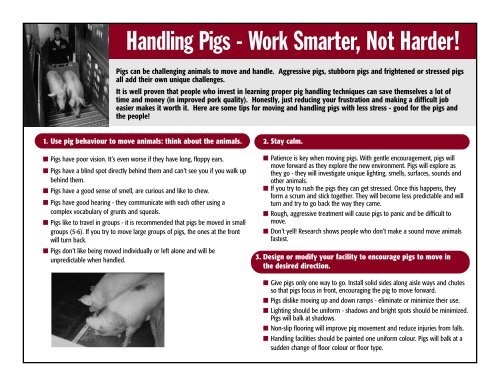 Handling Pigs - Work Smarter, Not Harder! - WSU Extension